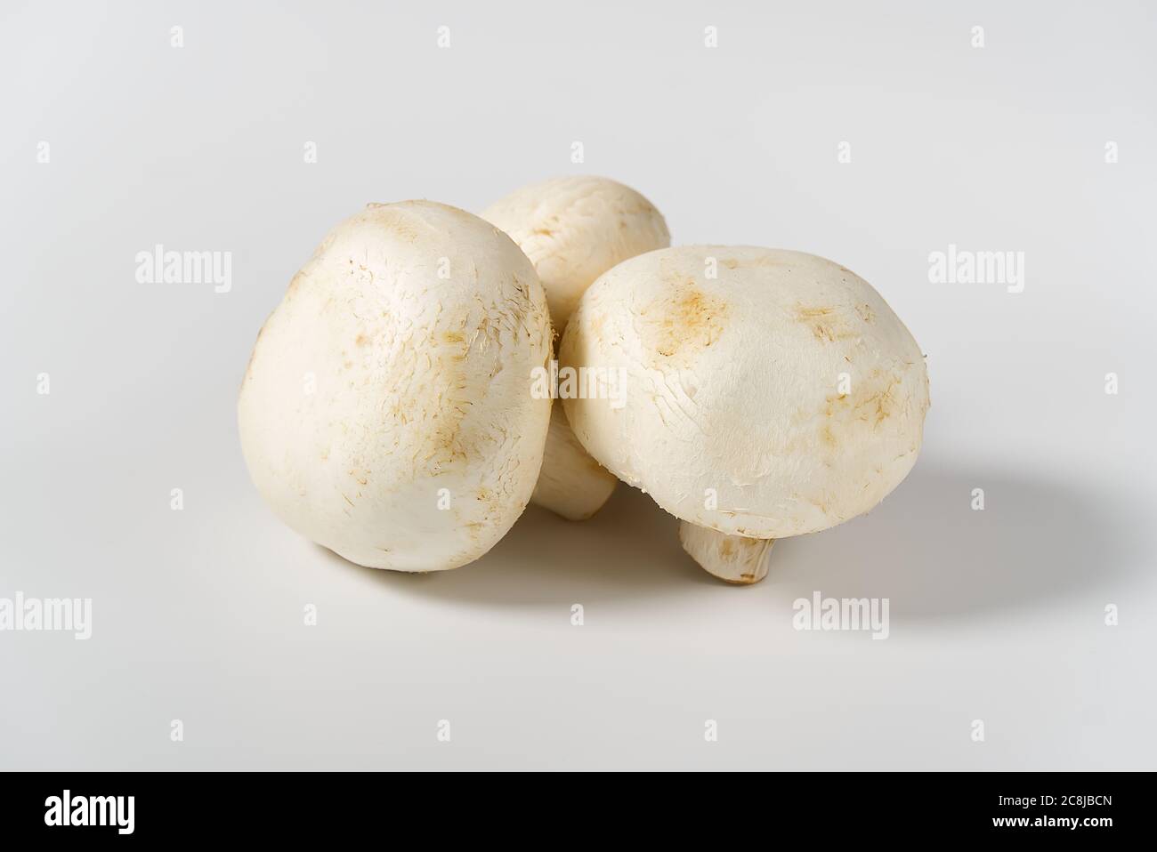 Fresh champignon mushrooms macro shoot. Close-up white champignon Stock ...