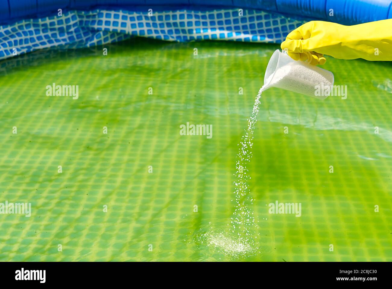 addition of chlorine powder for the pool to remove algae and disinfect ...