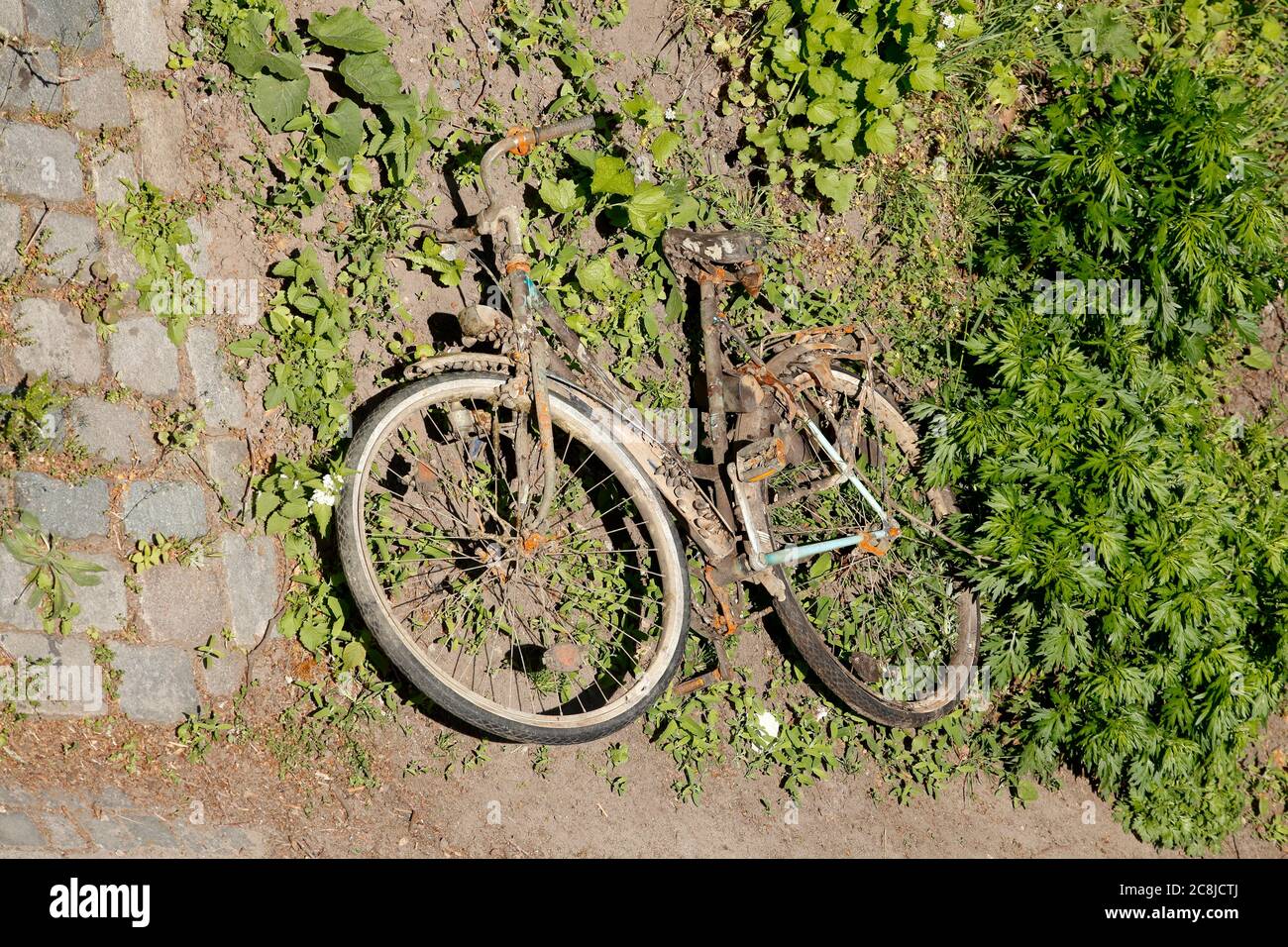 Old, rusty bicycle lying on the floor Stock Photo - Alamy