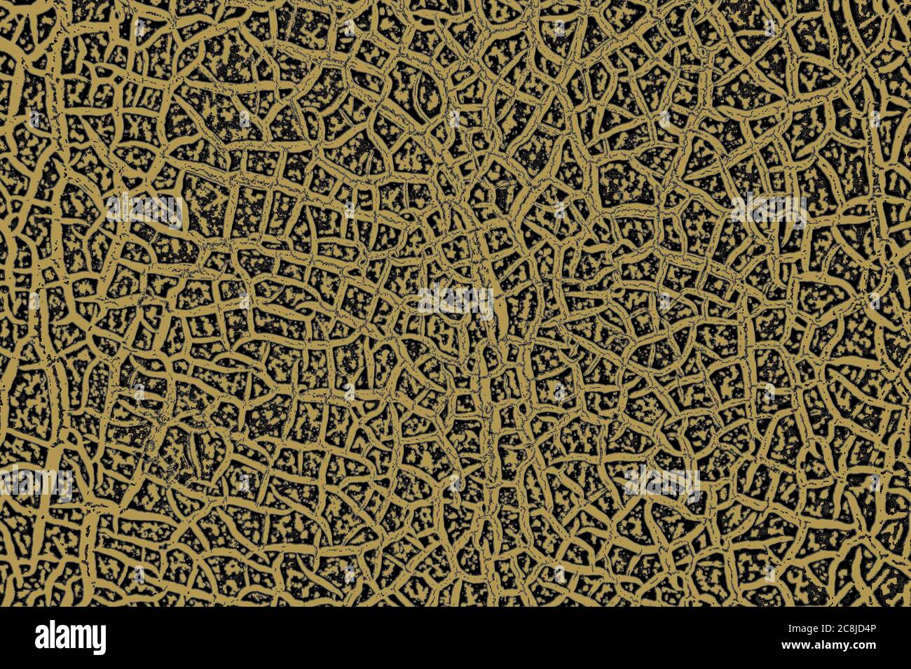 texture of a cracked melon crust for a background Stock Photo - Alamy