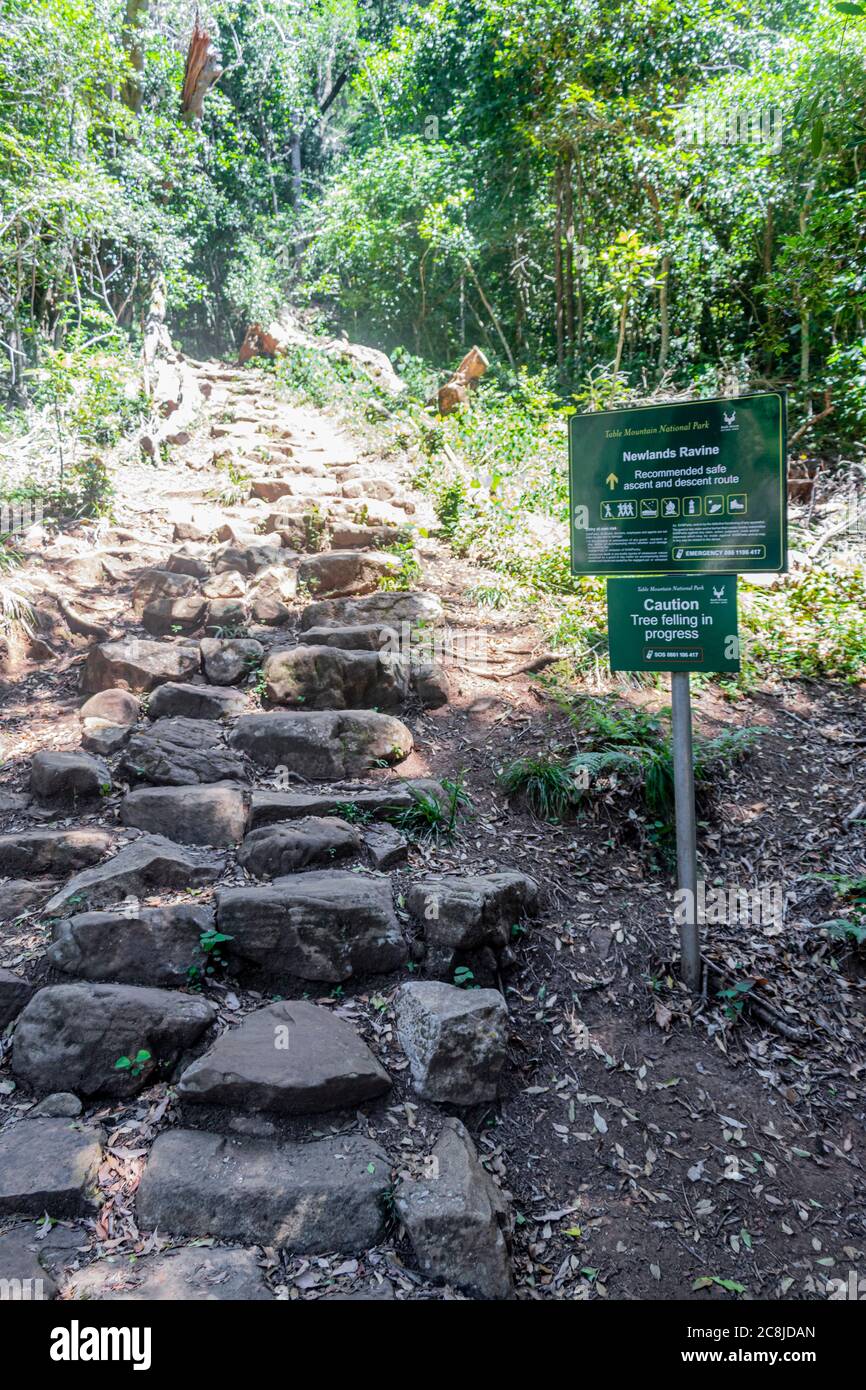 Stony Newlands Ravine hiking trail in the Tablemoutain National Park ...
