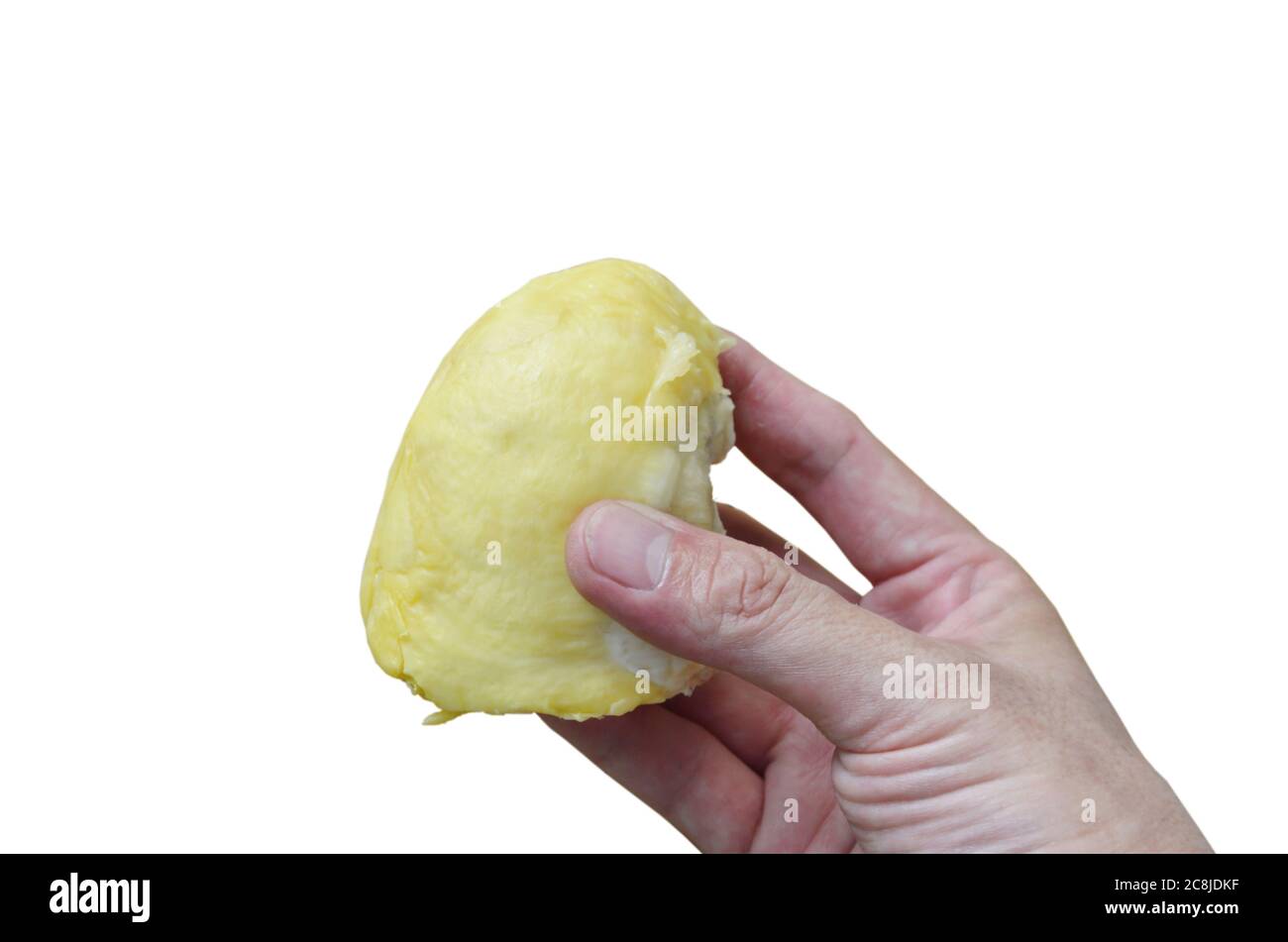 durian king of fruit on human hand in white background Stock Photo - Alamy