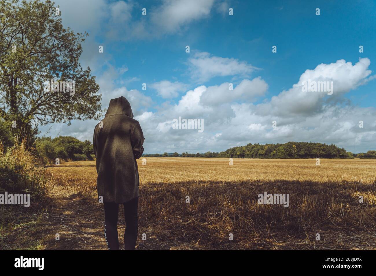 Field alone hi-res stock photography and images - Alamy