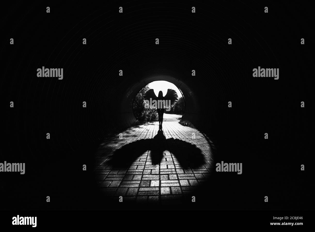 Angel silhouette with shadow in the tunnel Stock Photo - Alamy