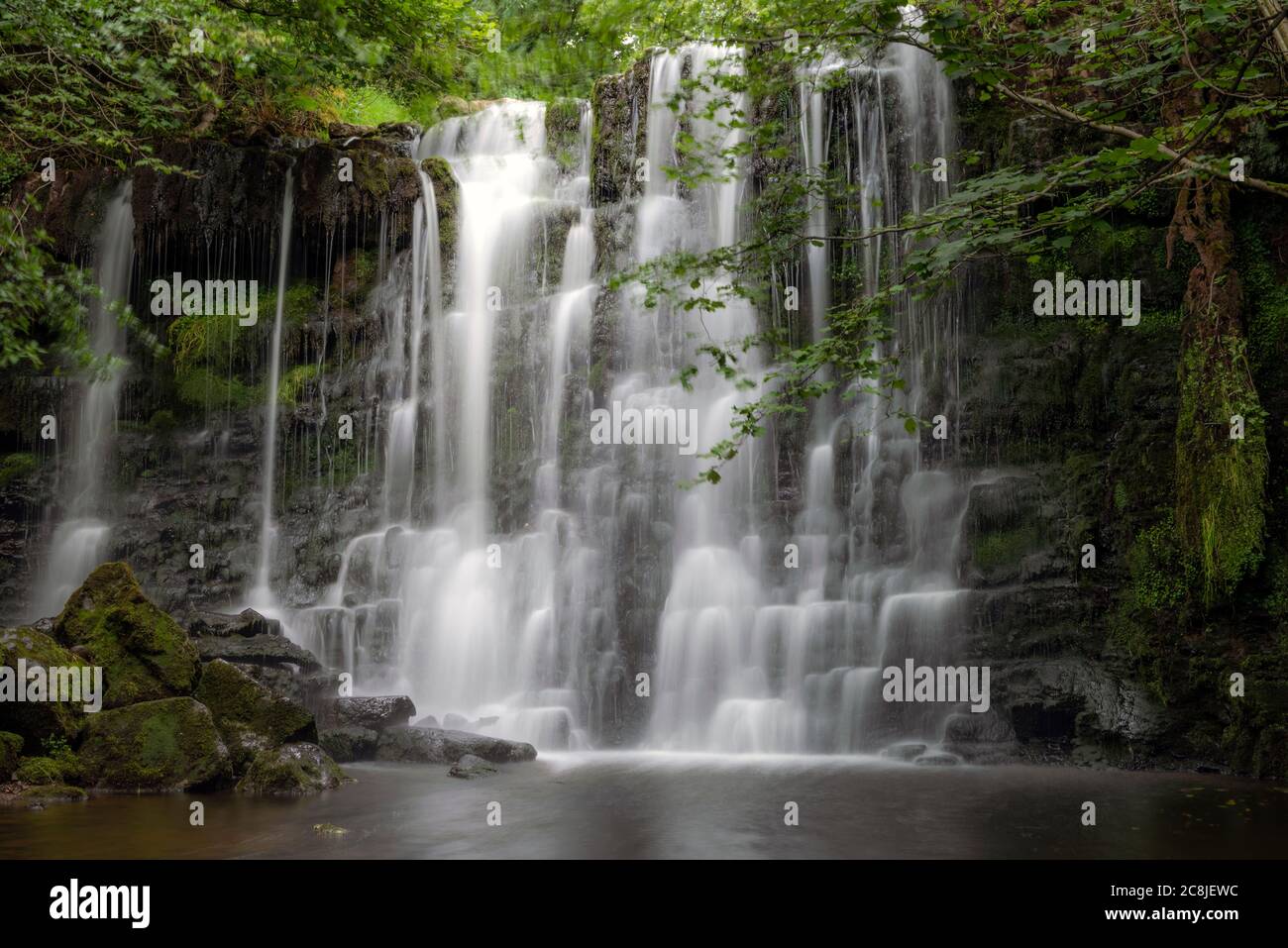 Scale Haw Force Stock Photo - Alamy