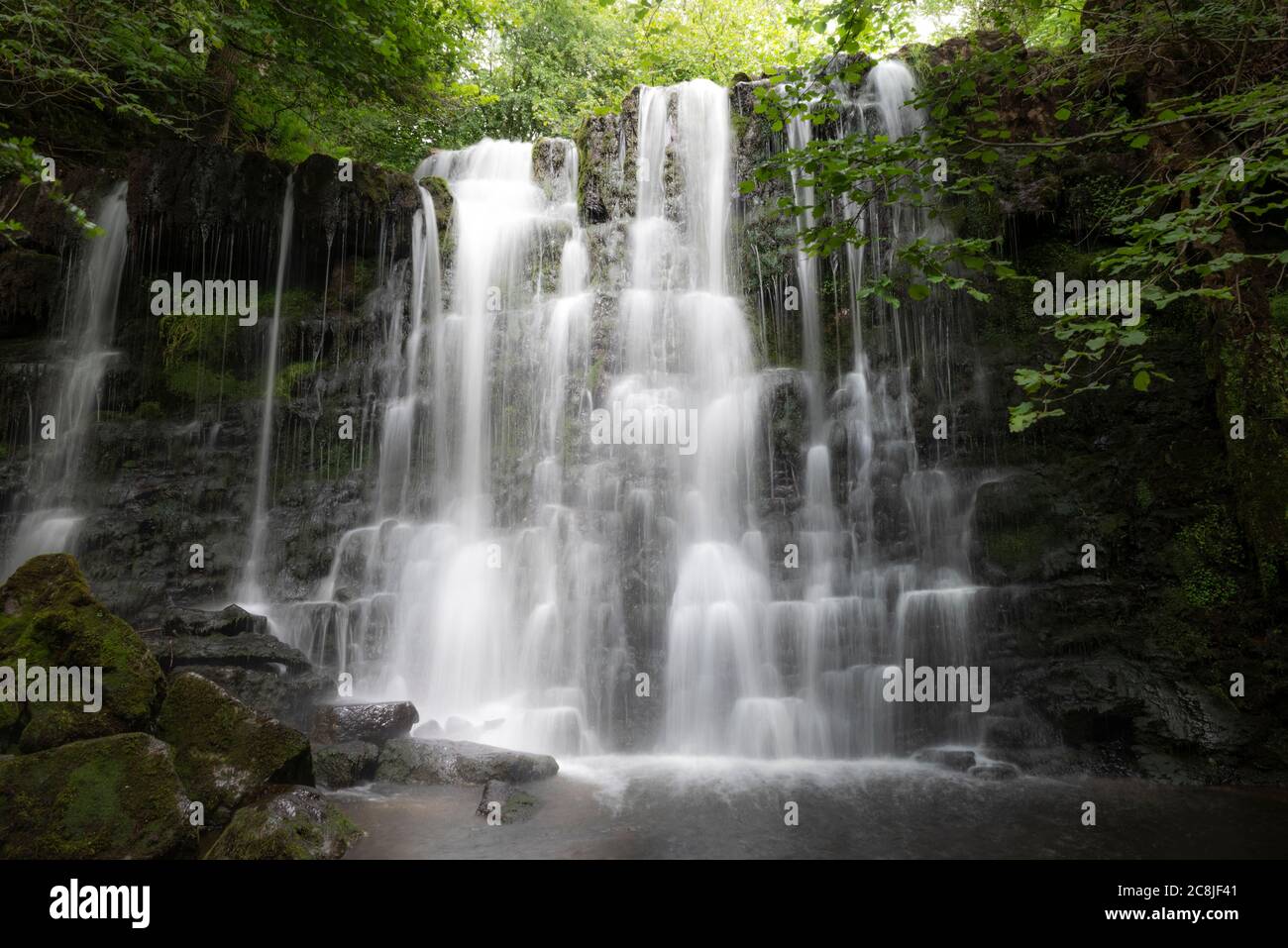Scale Haw Force Stock Photo - Alamy