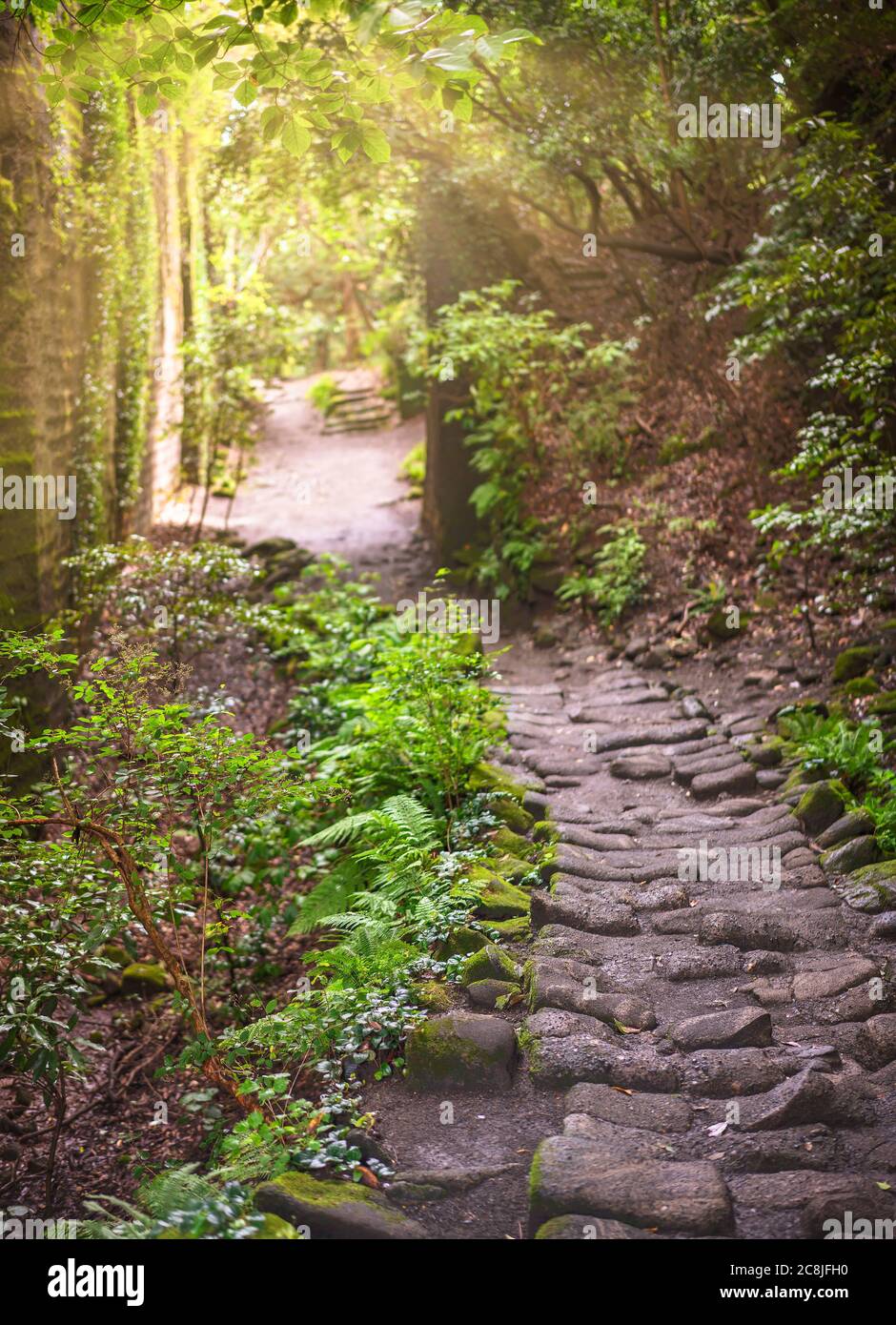 chiba, japan - july 18 2020: Stone hiking path between carved walls ...