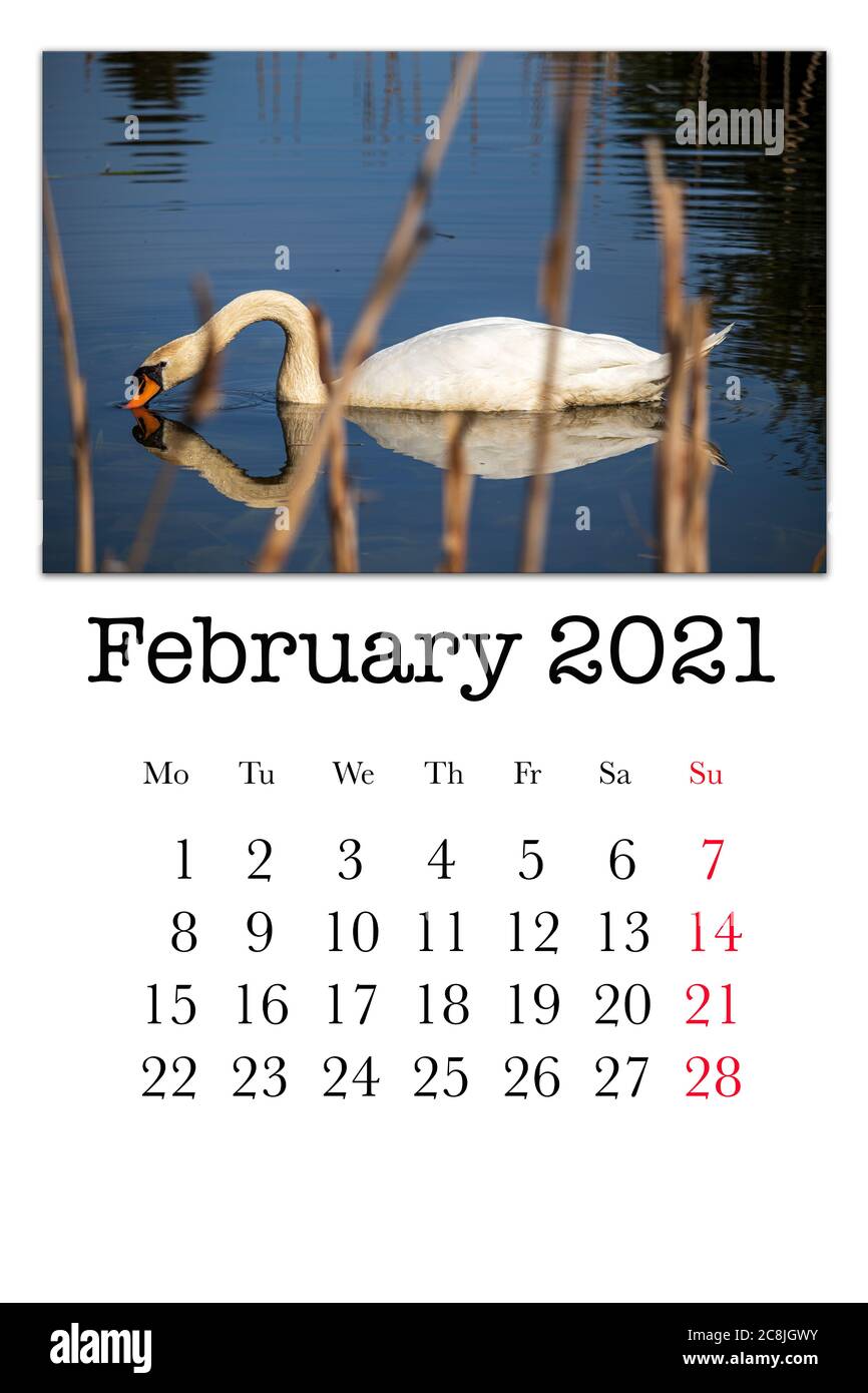 Calendar card for the month of February 2021 Stock Photo - Alamy