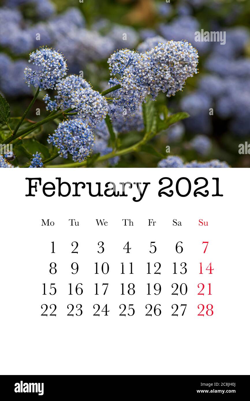 Calendar card for the month of February 2021 Stock Photo - Alamy