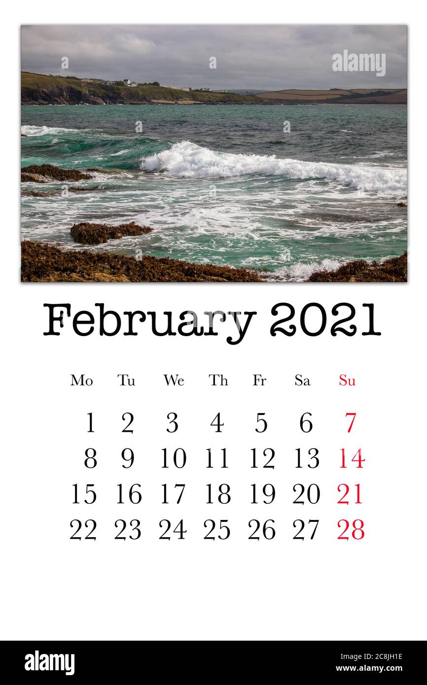 Calendar plant Cut Out Stock Images & Pictures - Alamy