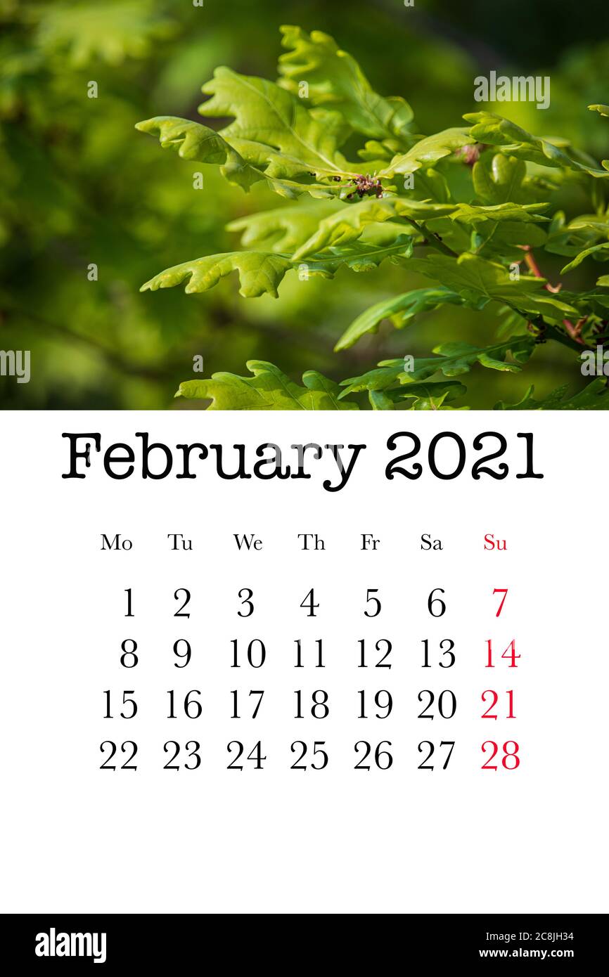 Calendar card for the month of February 2021 Stock Photo - Alamy