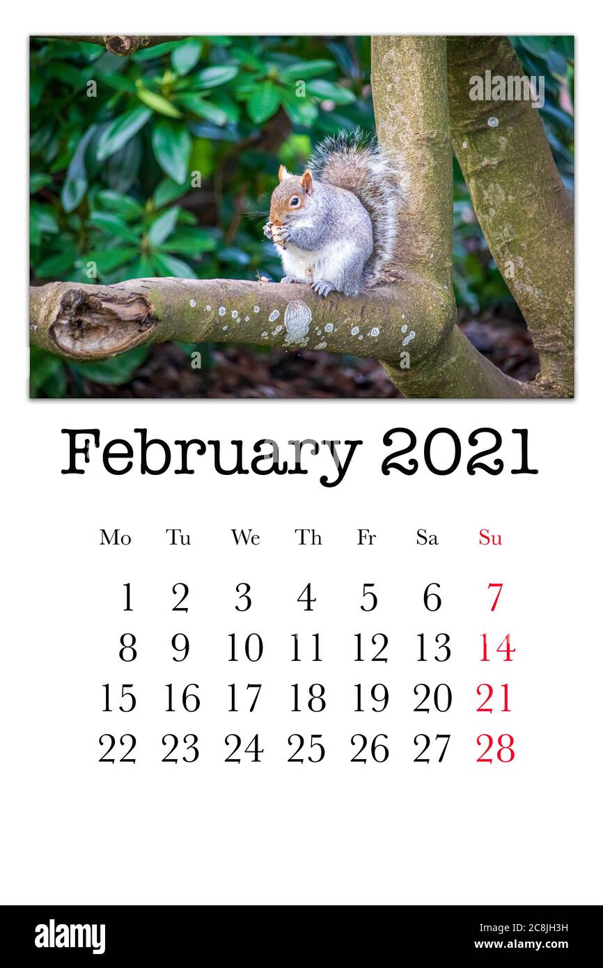 Calendar card for the month of February 2021 Stock Photo - Alamy