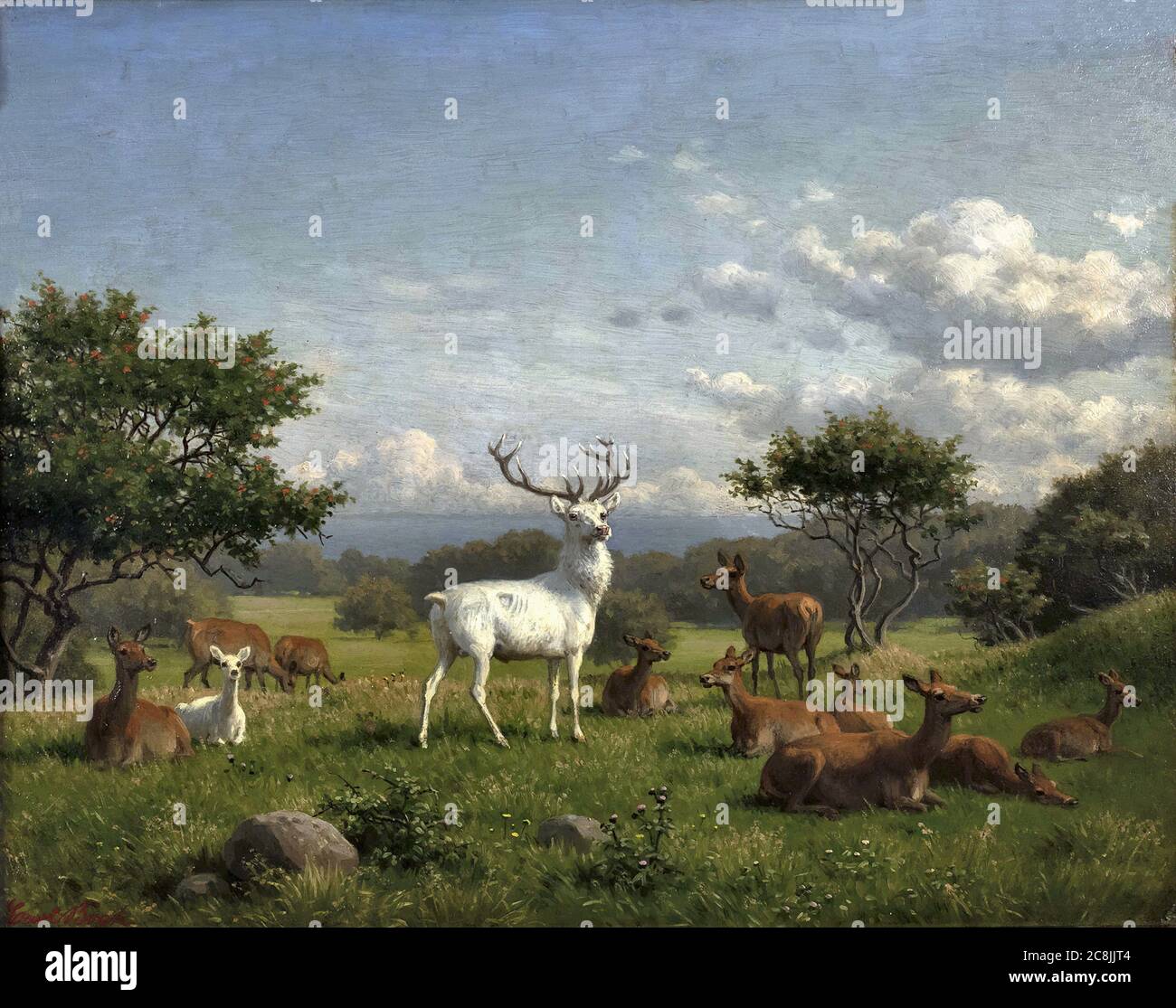 Bogh Carl Henrik - Rehrudel Und Weisser Kronhirsch - Danish School ...