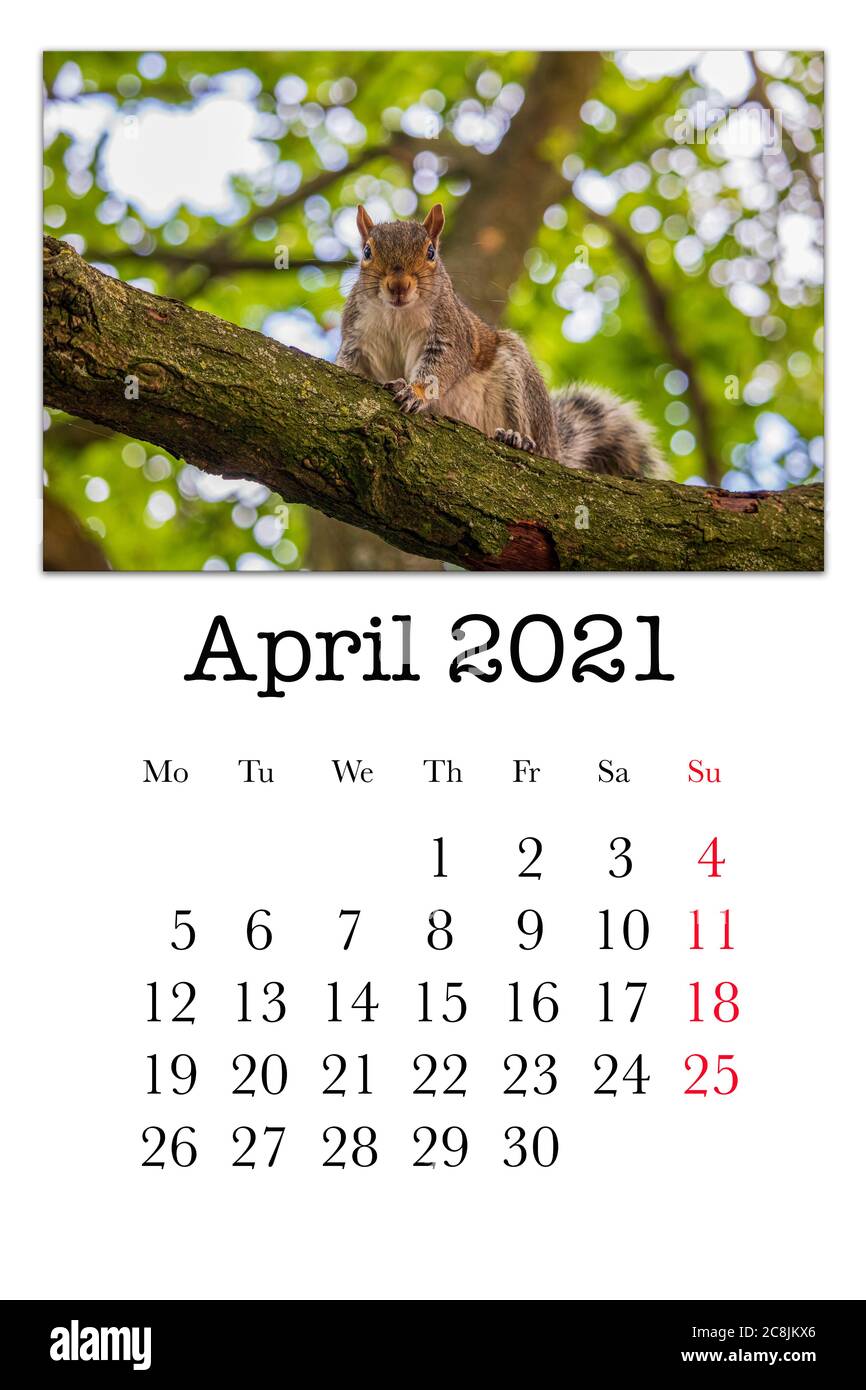 Calendar card for the month of April 2021 Stock Photo - Alamy