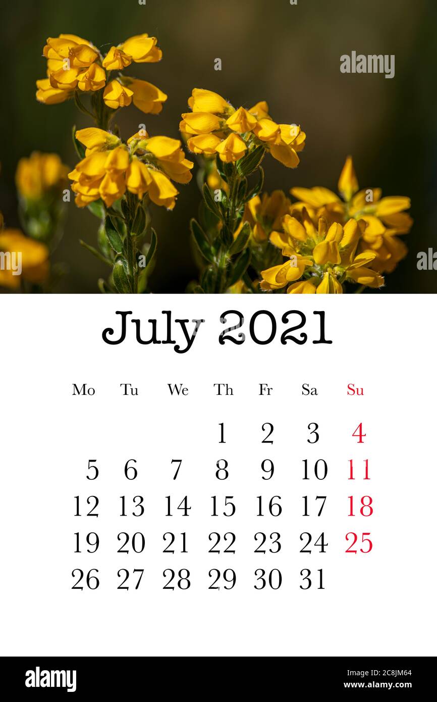 Calendar card for the month of July 2021 Stock Photo - Alamy