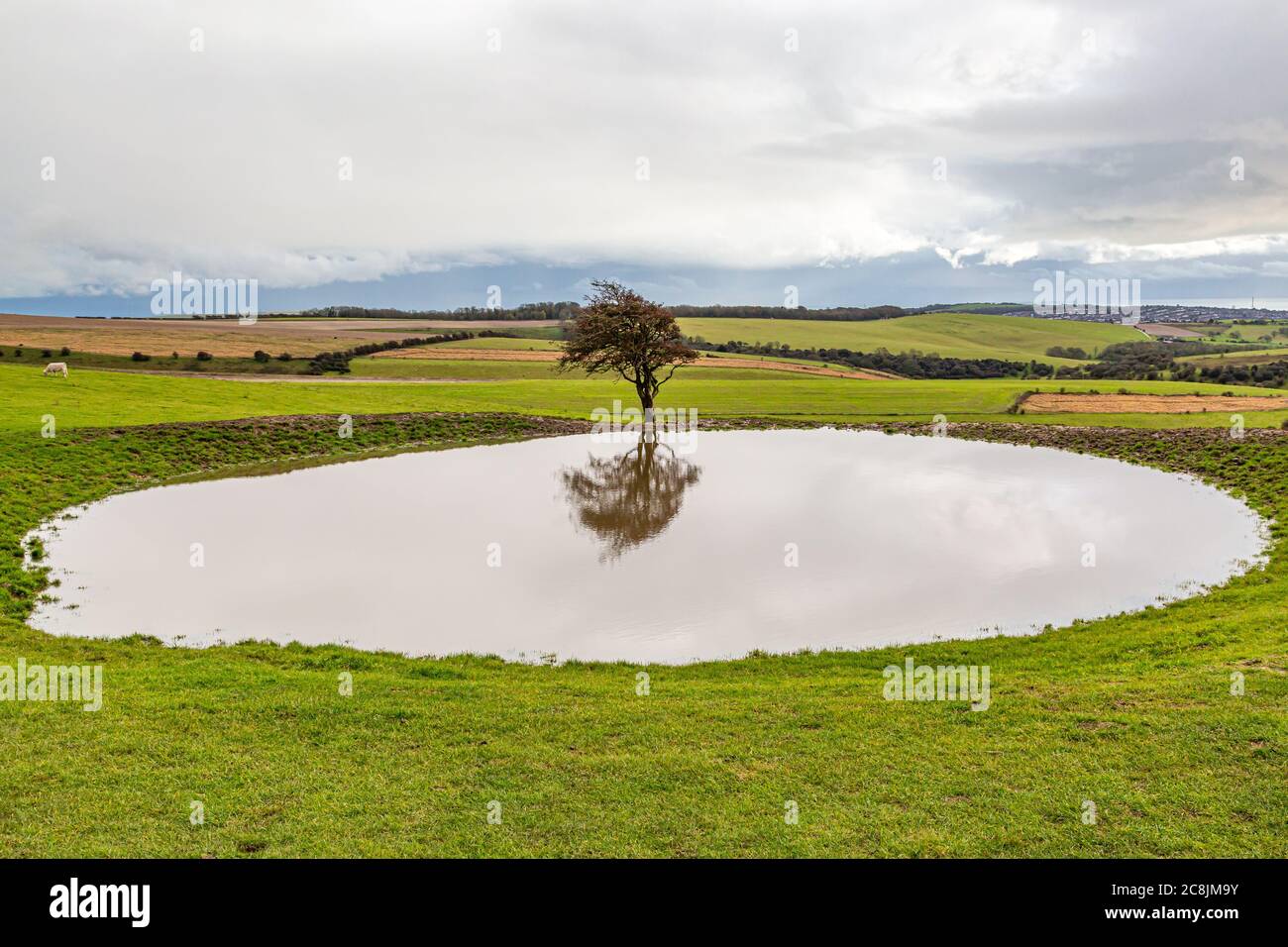 Ditchling beacon dew pond hi-res stock photography and images - Alamy