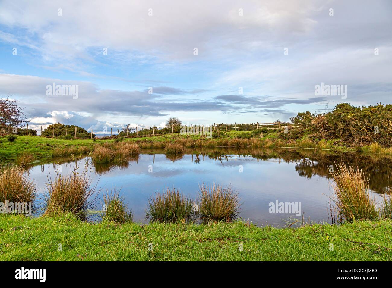 Ditchling beacon dew pond hi-res stock photography and images - Alamy