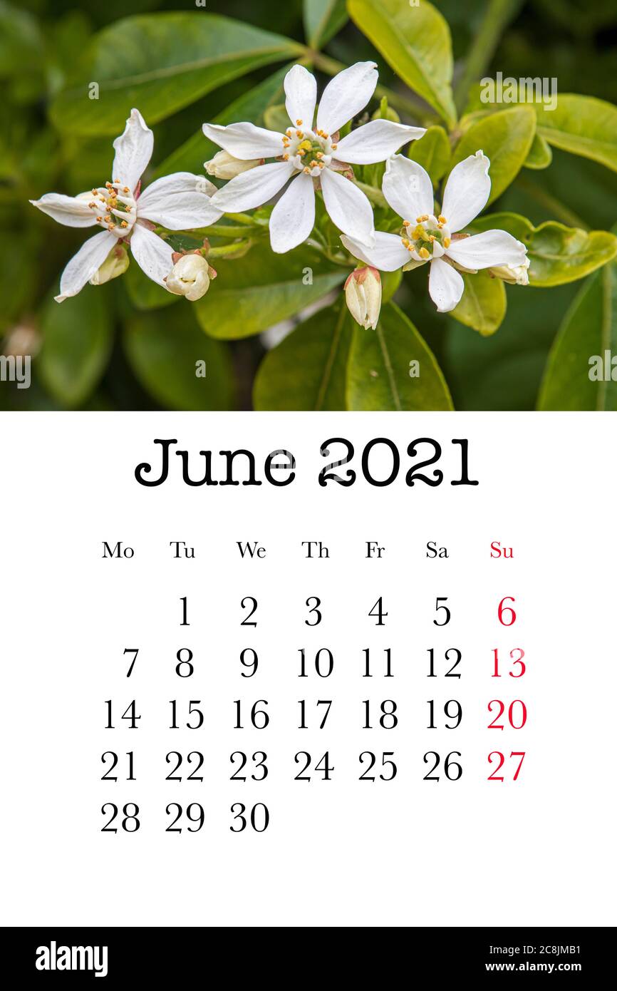 Calendar card for the month of June 2021 Stock Photo - Alamy
