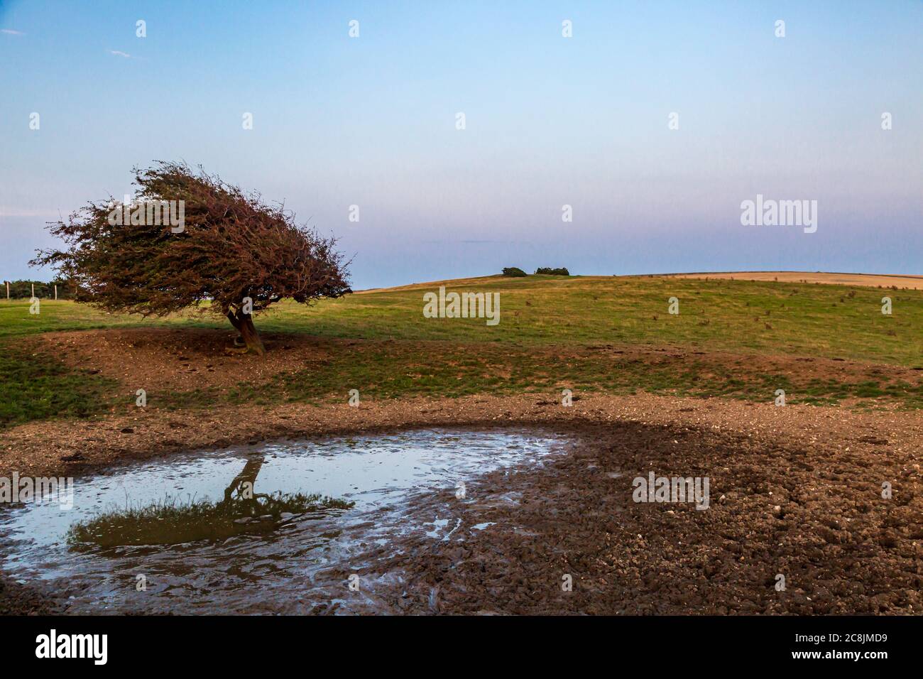 Ditchling beacon dew pond hi-res stock photography and images - Alamy