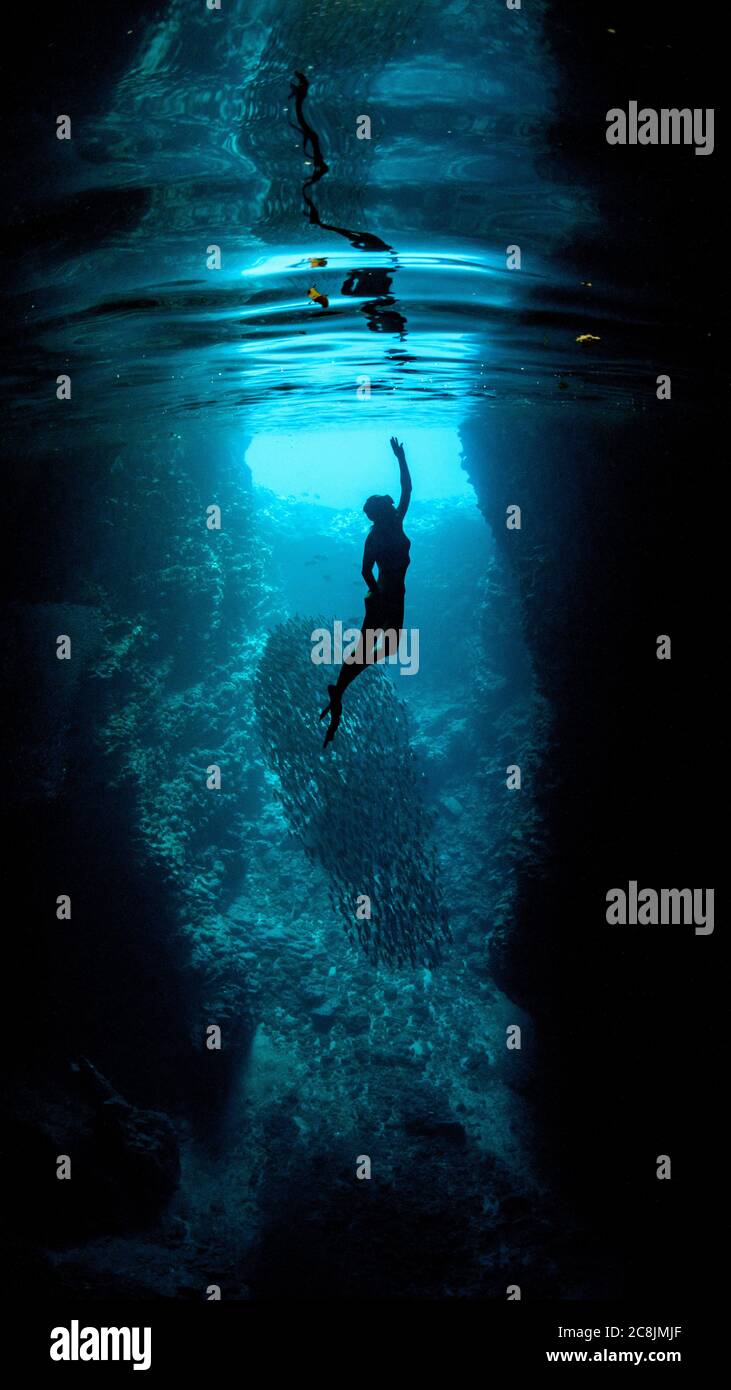 Underwater vertical shot of a diver reaching toward the surface with ...