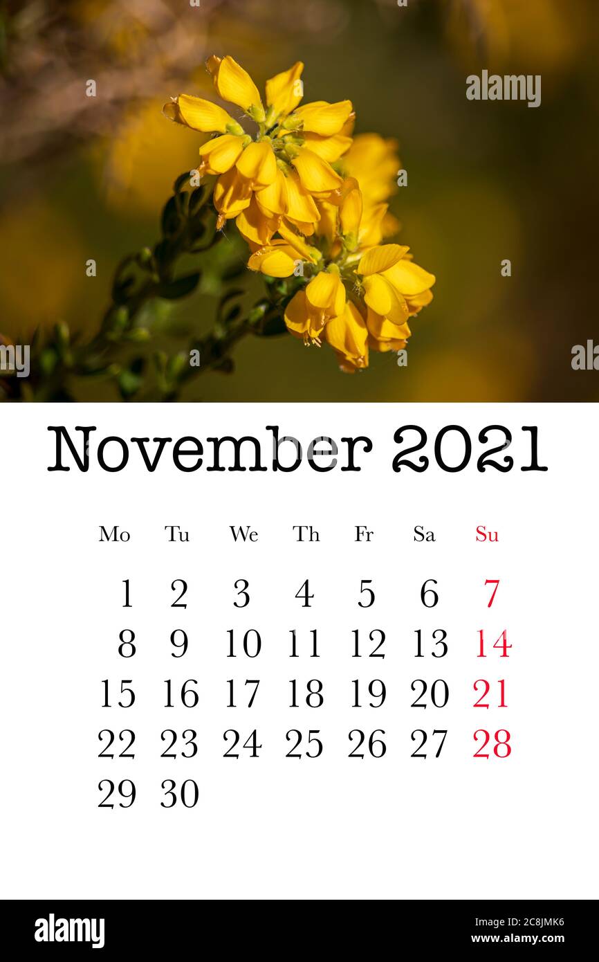 Calendar card for the month of November 2021 Stock Photo - Alamy