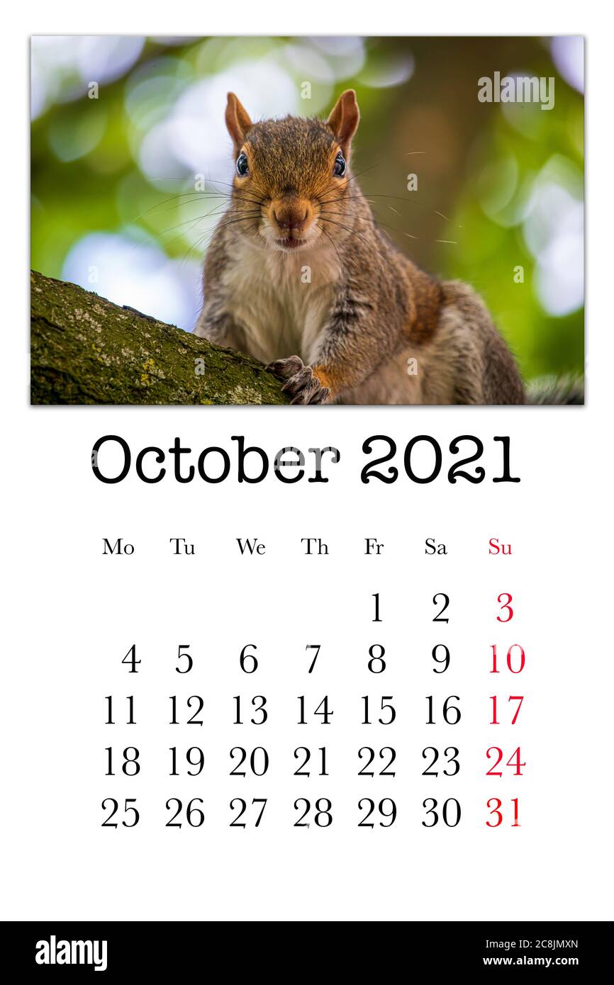Calendar card for the month of October 2021 Stock Photo - Alamy