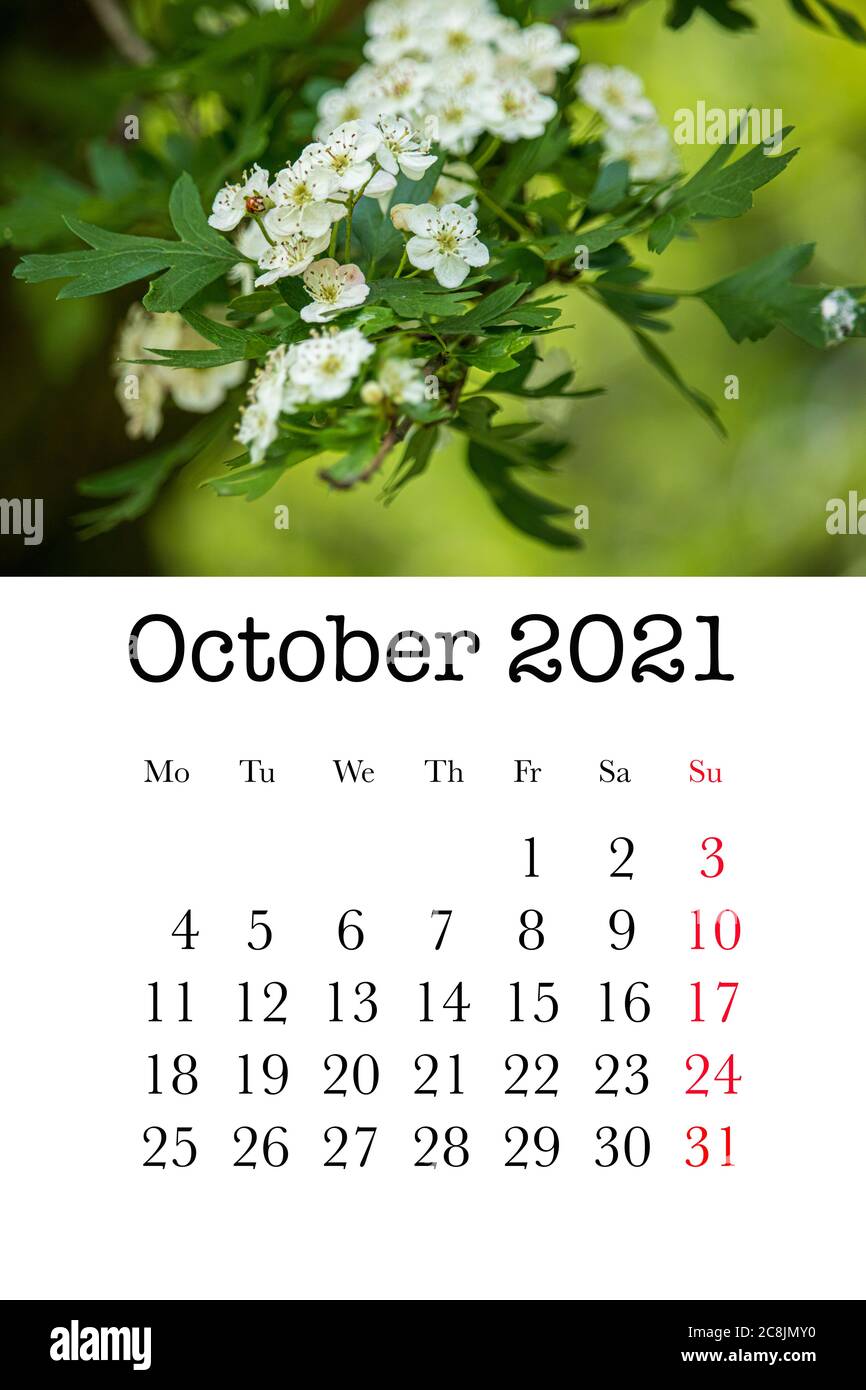 Calendar card for the month of October 2021 Stock Photo - Alamy