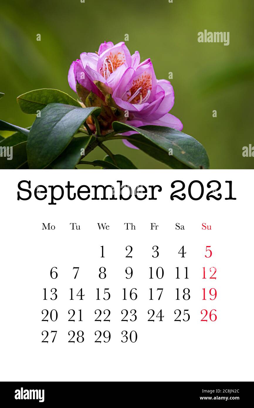 Calendar card for the month of September 2021 Stock Photo - Alamy