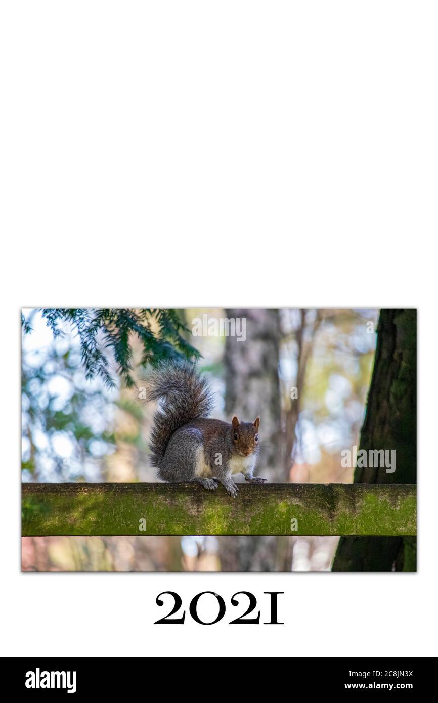 Creative calendar decoration Cut Out Stock Images & Pictures - Alamy