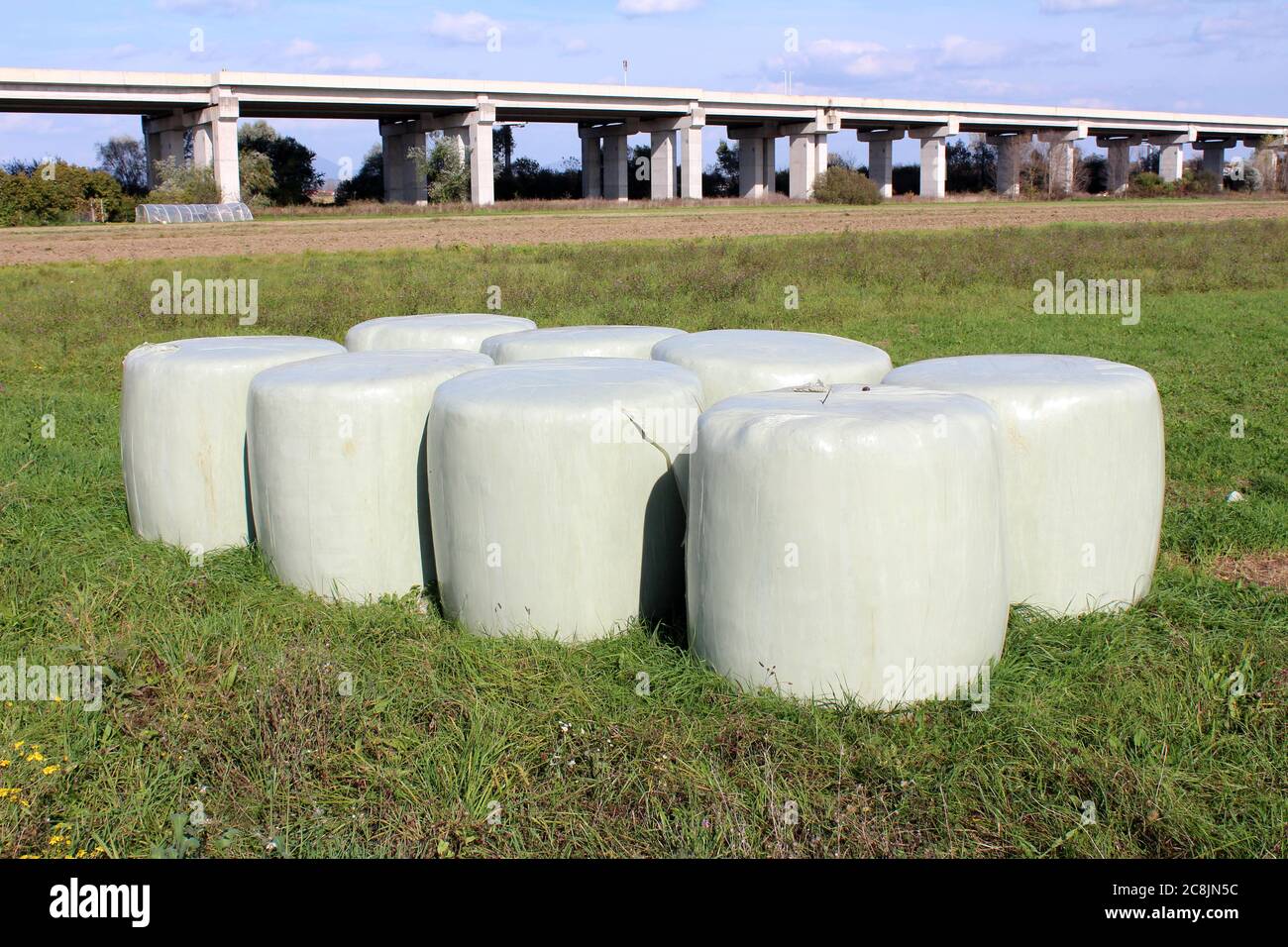 Newly made eight large hay bales wrapped in nylon protection for ...