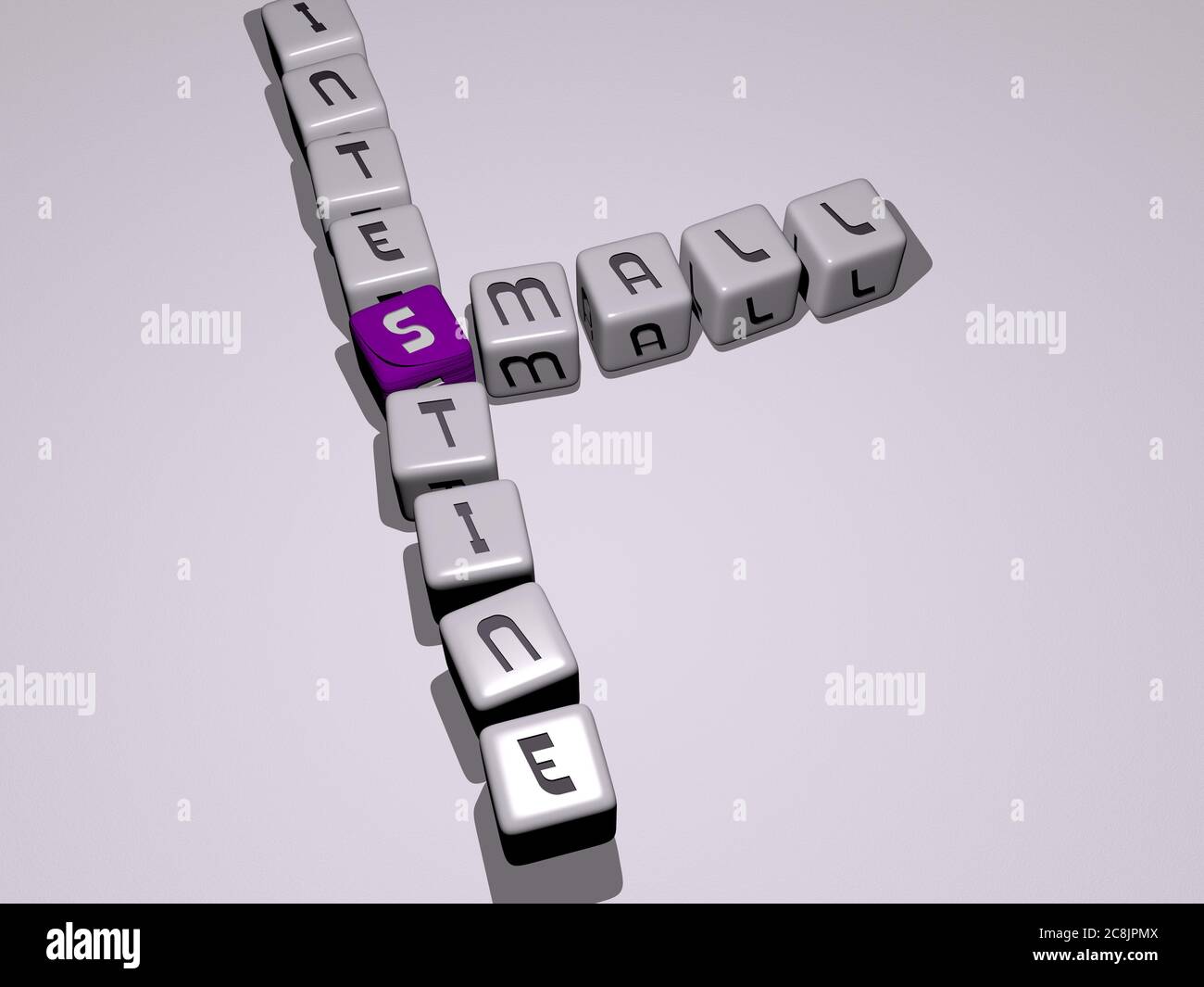 small intestine combined by dice letters and color crossing for the ...