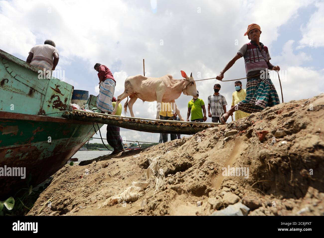 Dhaka, Bangladesh. 25th July, 2020. Bangladeshi traders unloading a vessel of sacrificial ...