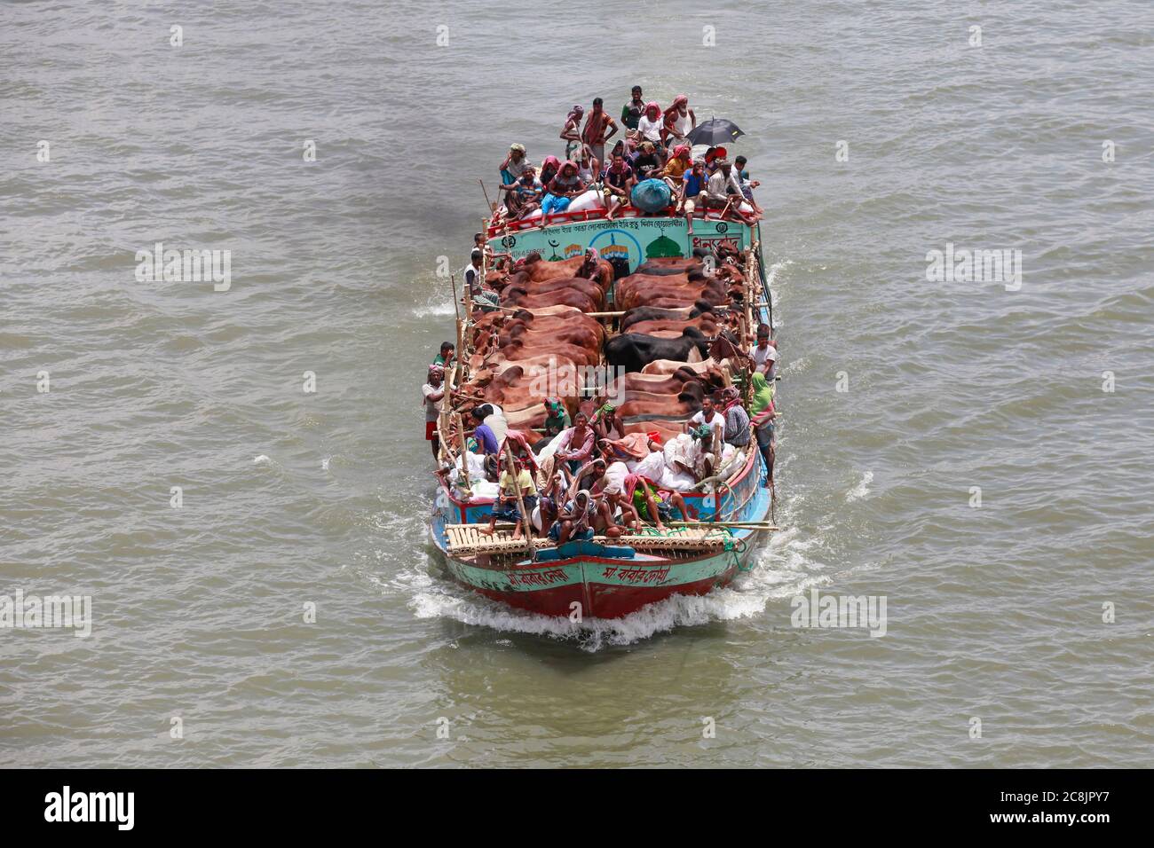 Cattle trade boat hi-res stock photography and images - Alamy