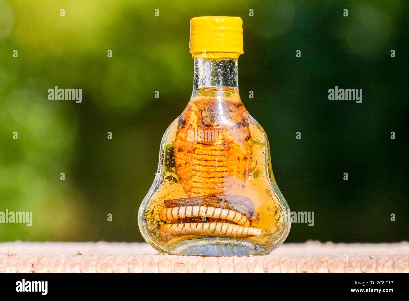 Snake venom bottle hi-res stock photography and images - Alamy