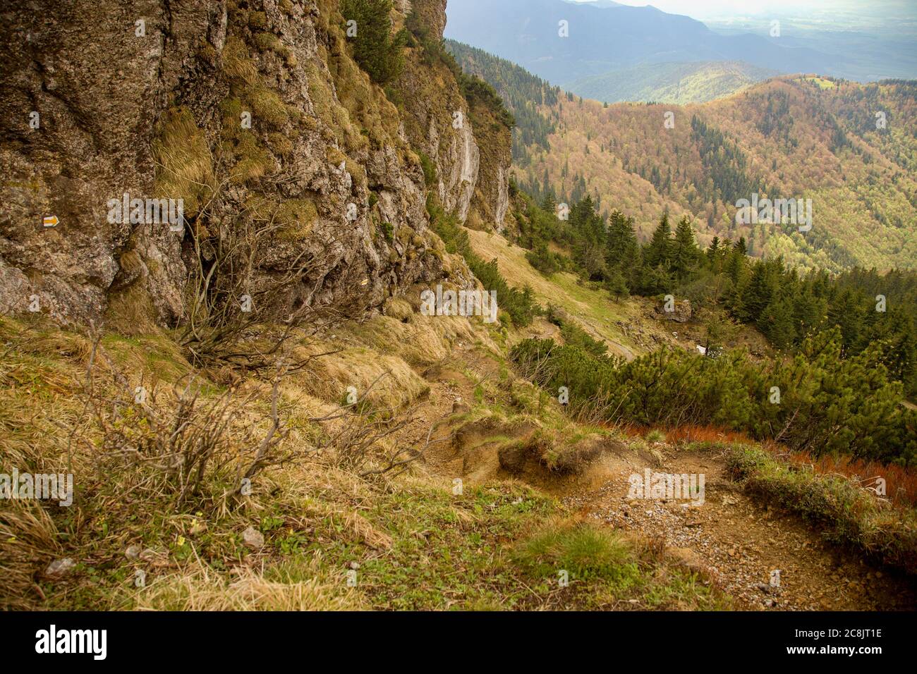 Rough stone path hi-res stock photography and images - Alamy