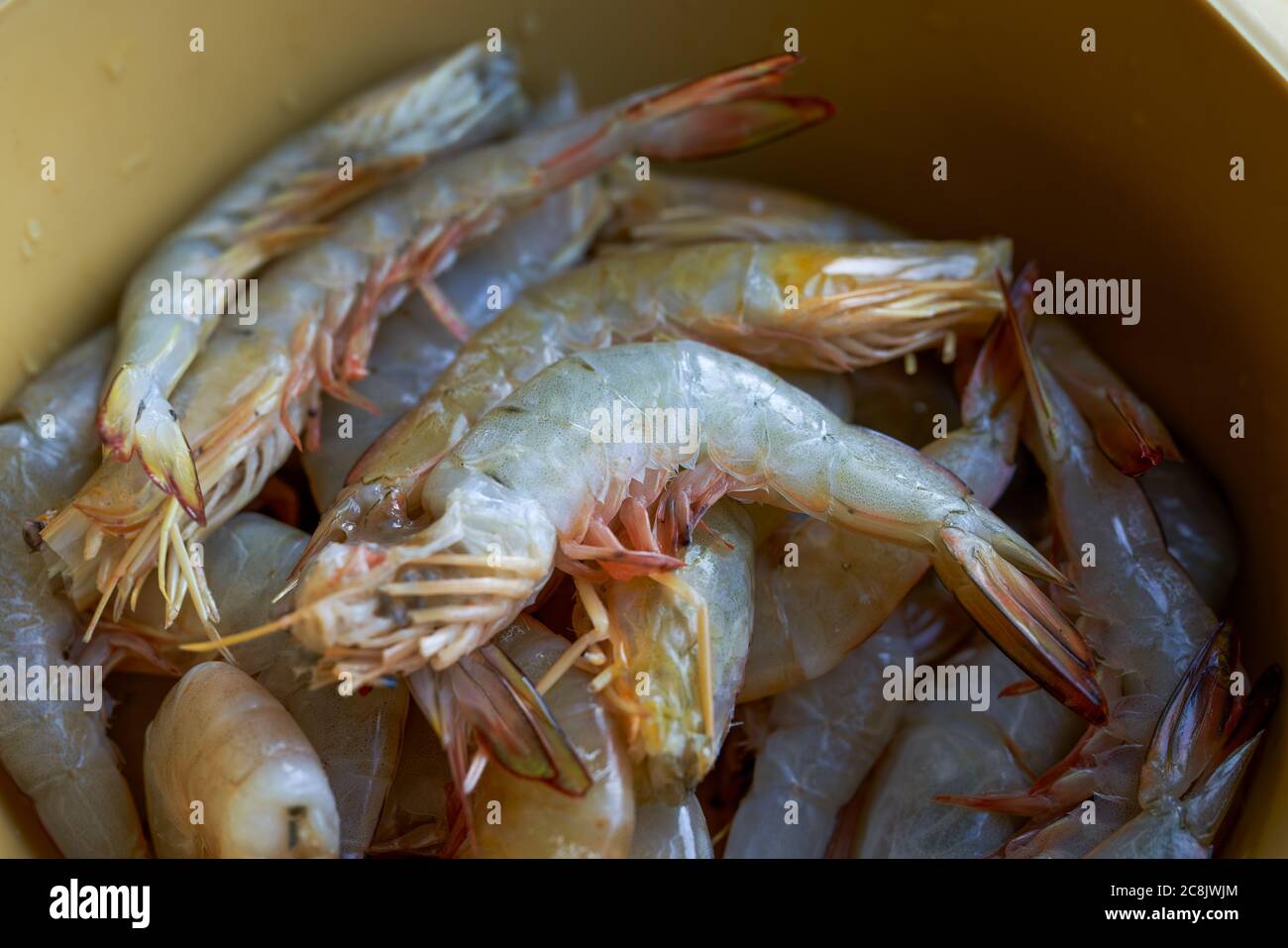 Fresh and plump sea shrimp, raw shrimp Stock Photo - Alamy