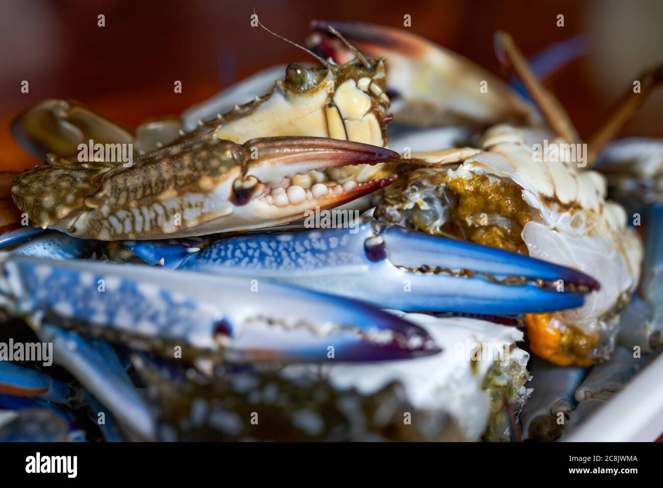 Close-up of fresh plump crab with crab roe Stock Photo - Alamy