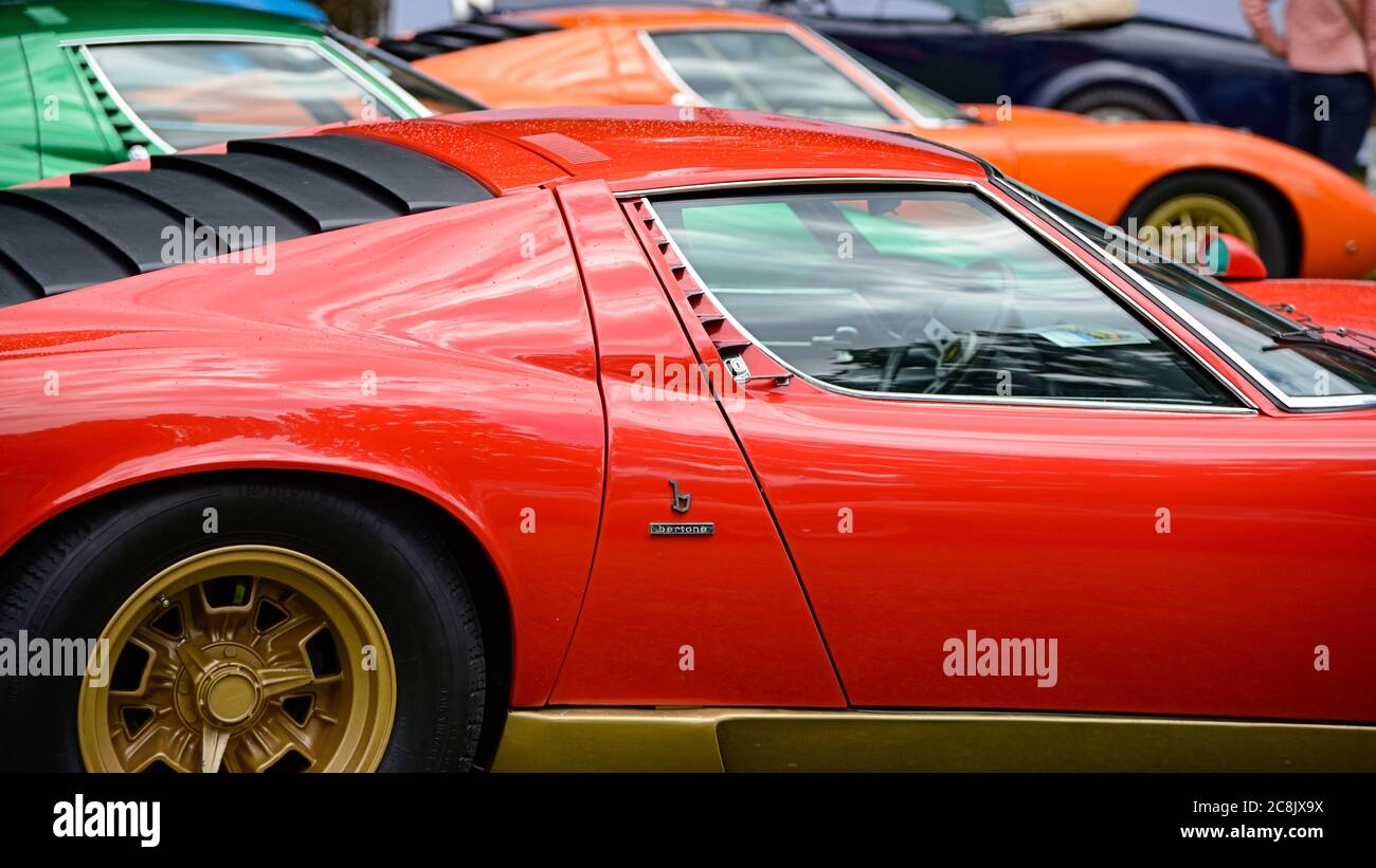 Lamborghini Miuras parked together at a classic car concourse Stock ...