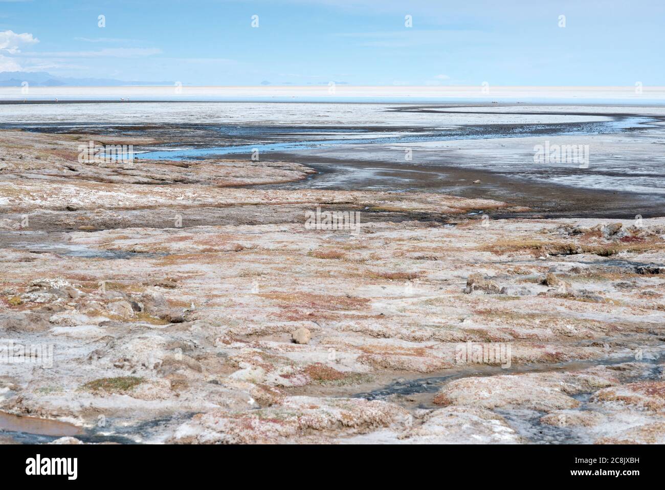 Colorful Landscape At Salar De Uyuni In Bolivia Stock Photo - Alamy