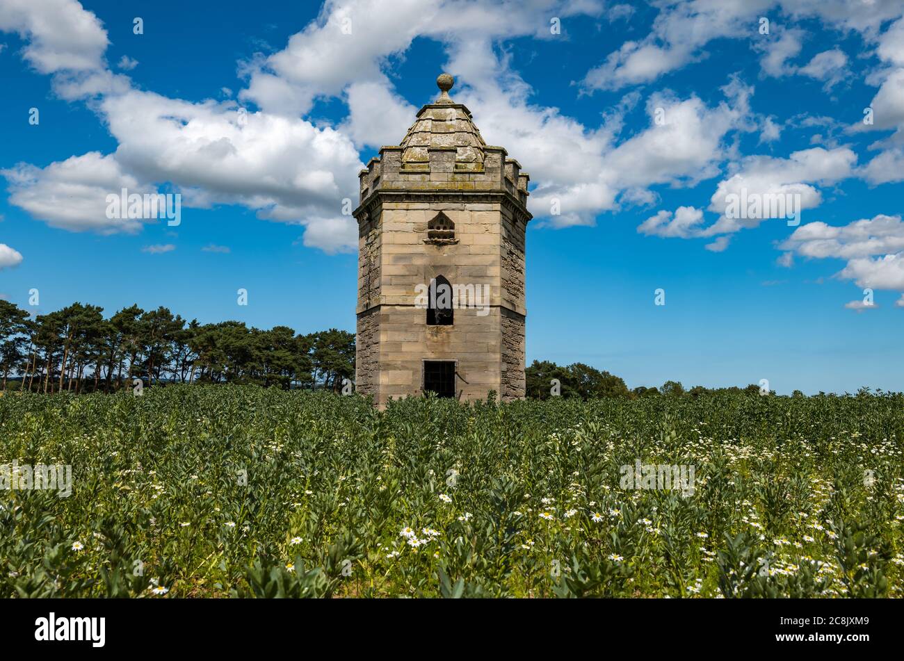 Dovecot hi-res stock photography and images - Alamy