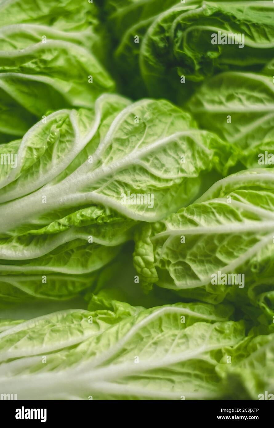 Chinese cabbage, background texture of green leaves, flat lay Stock ...