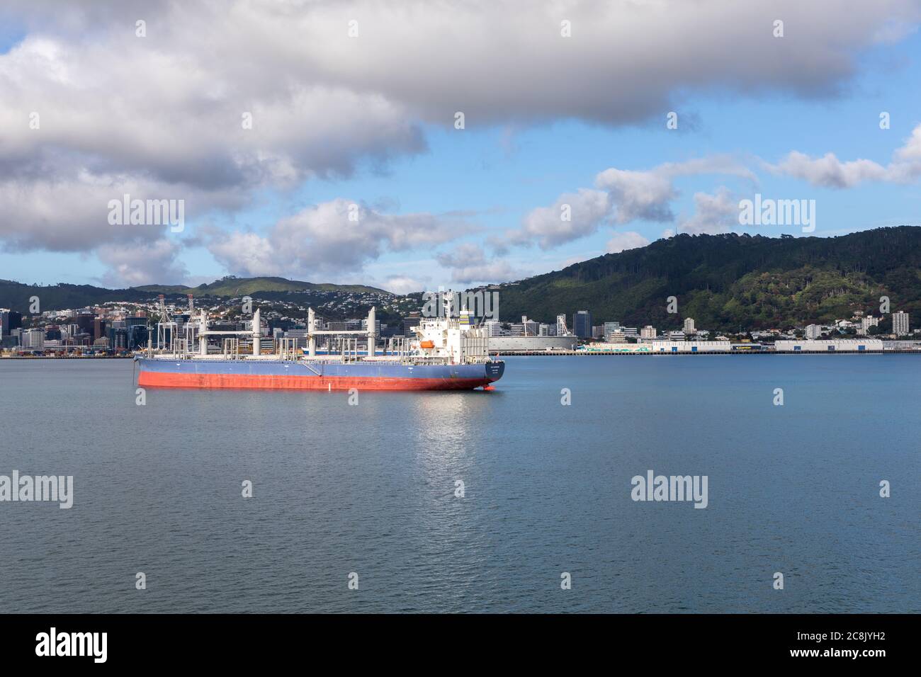 Wellington Harbour, Port Nicholson, Wellington Harbour (Port Nicholson ...