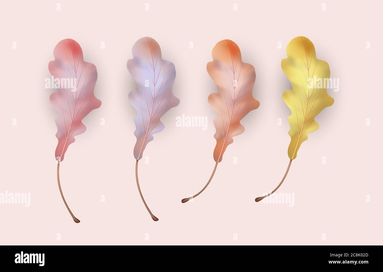 Autumn leaves dried tree Stock Vector Images - Alamy