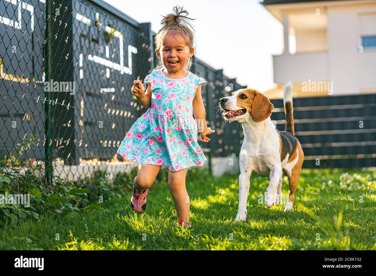 Running Baby Animals