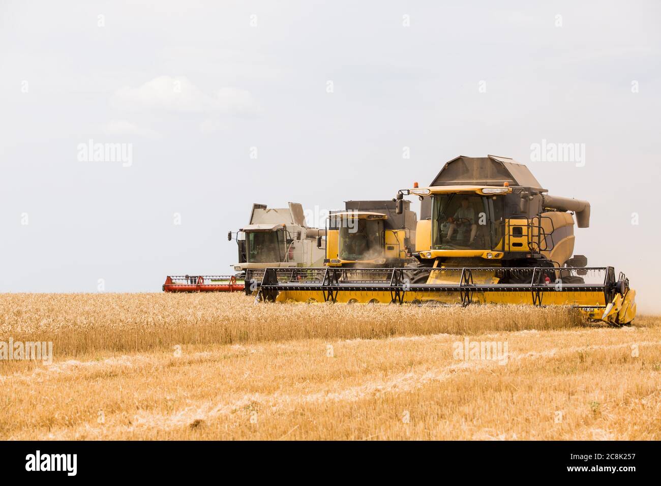 harvester collects grain of wheat in the field Stock Photo - Alamy