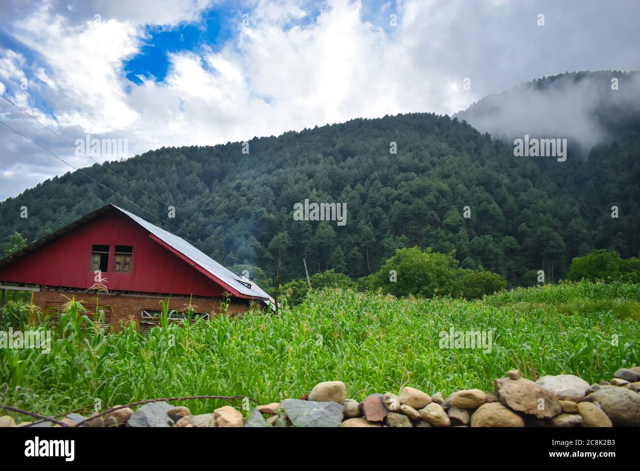 Beautiful view of hills and paddy fields at Kashmir valley India Stock ...