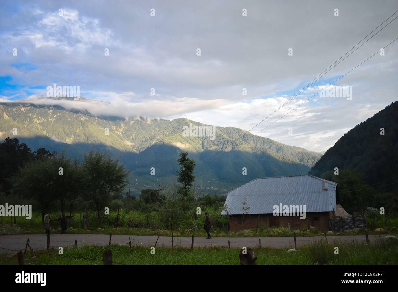 Beautiful view of hills and paddy fields at Kashmir valley India Stock ...