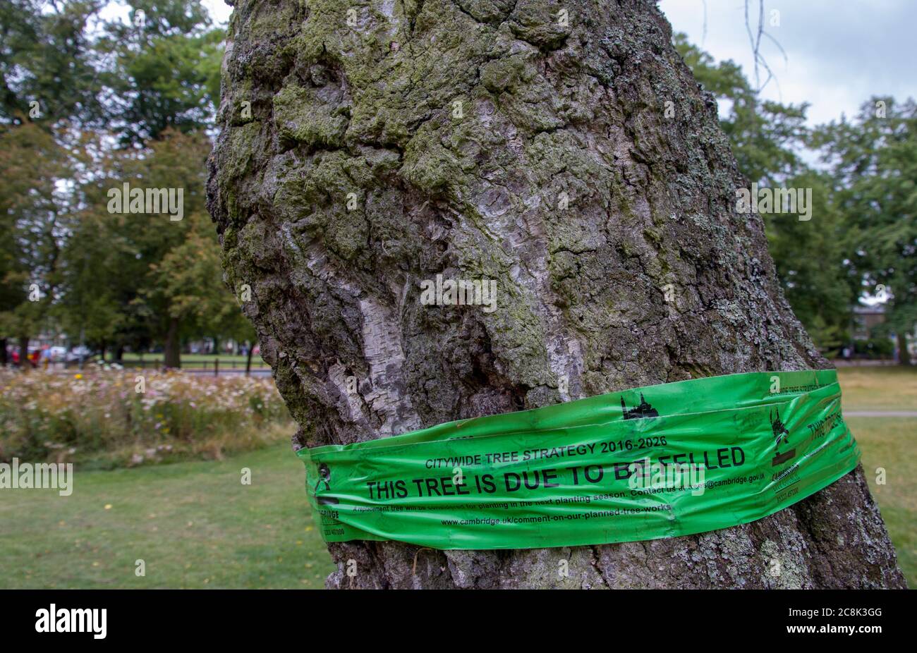 Tree signage hi-res stock photography and images - Alamy