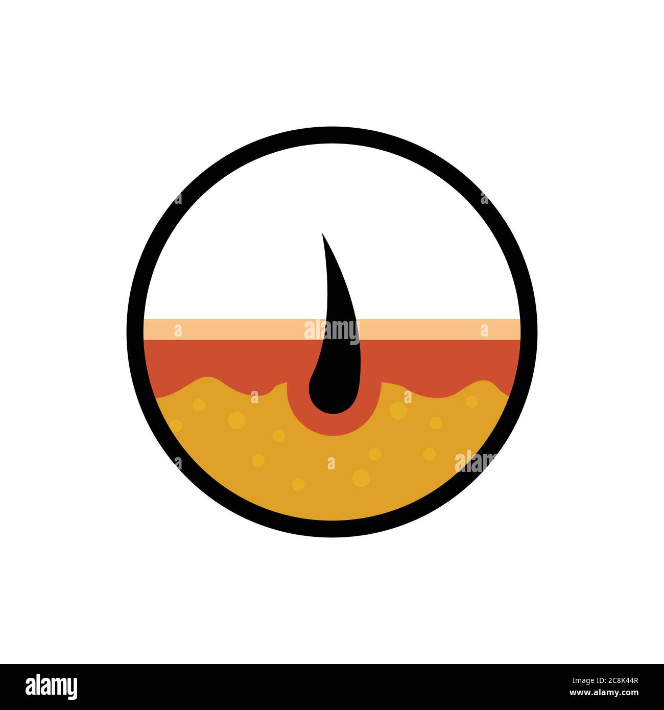 Illustration of healthy hair. Design template vector Stock Vector Image ...