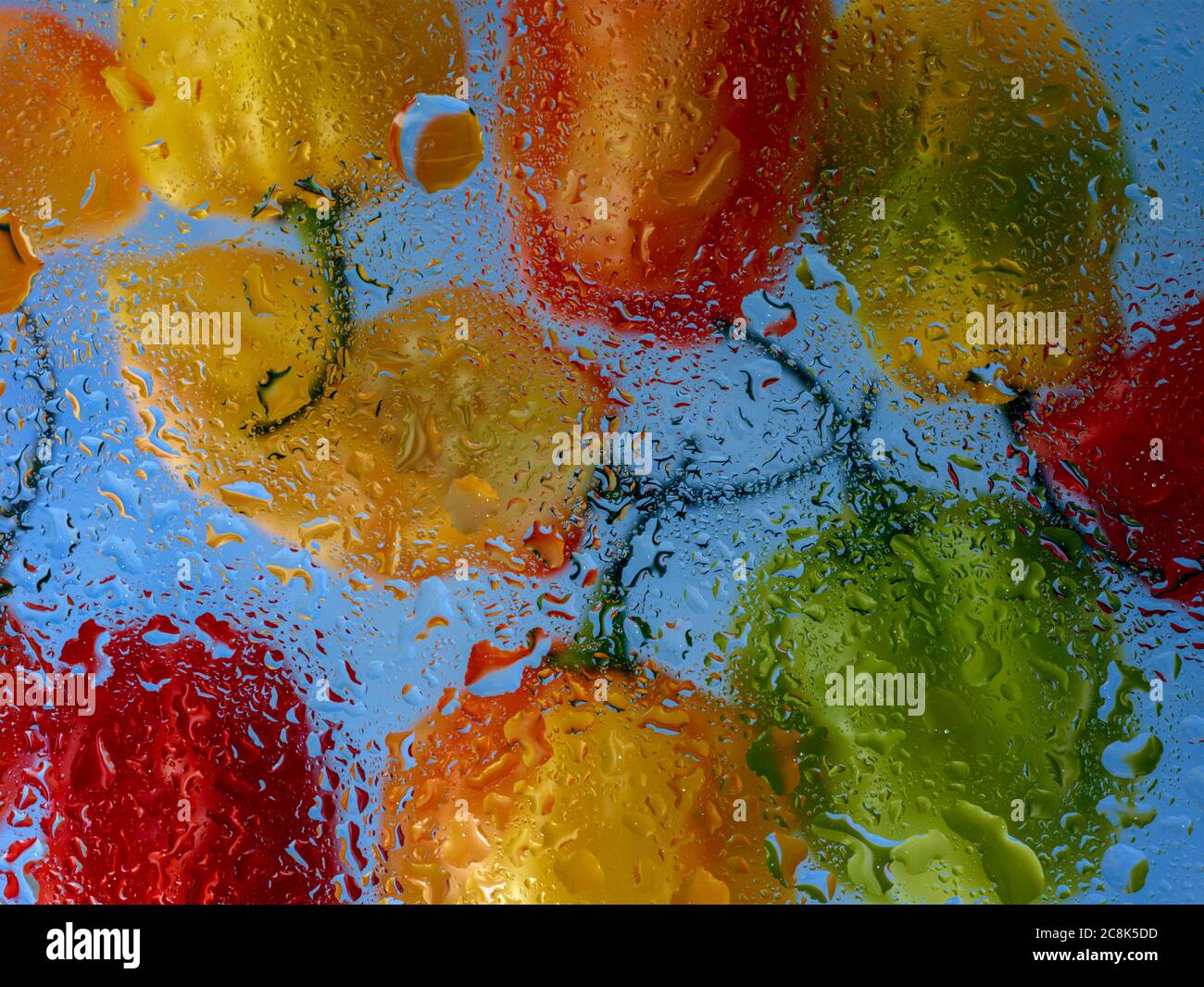Scotch Bonnet peppers and water droplets on a blue background, food ...